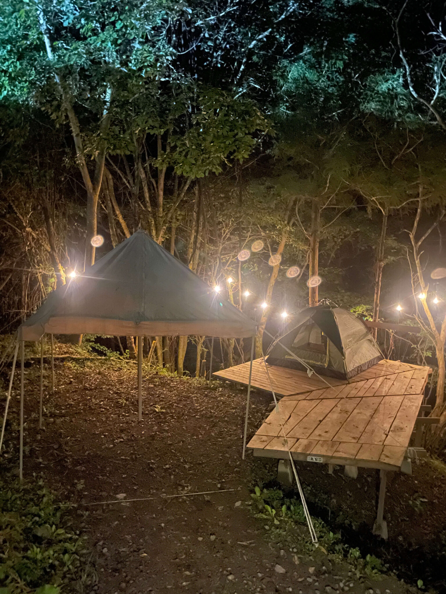 サイトと料金 | IRIE CAMP BASE