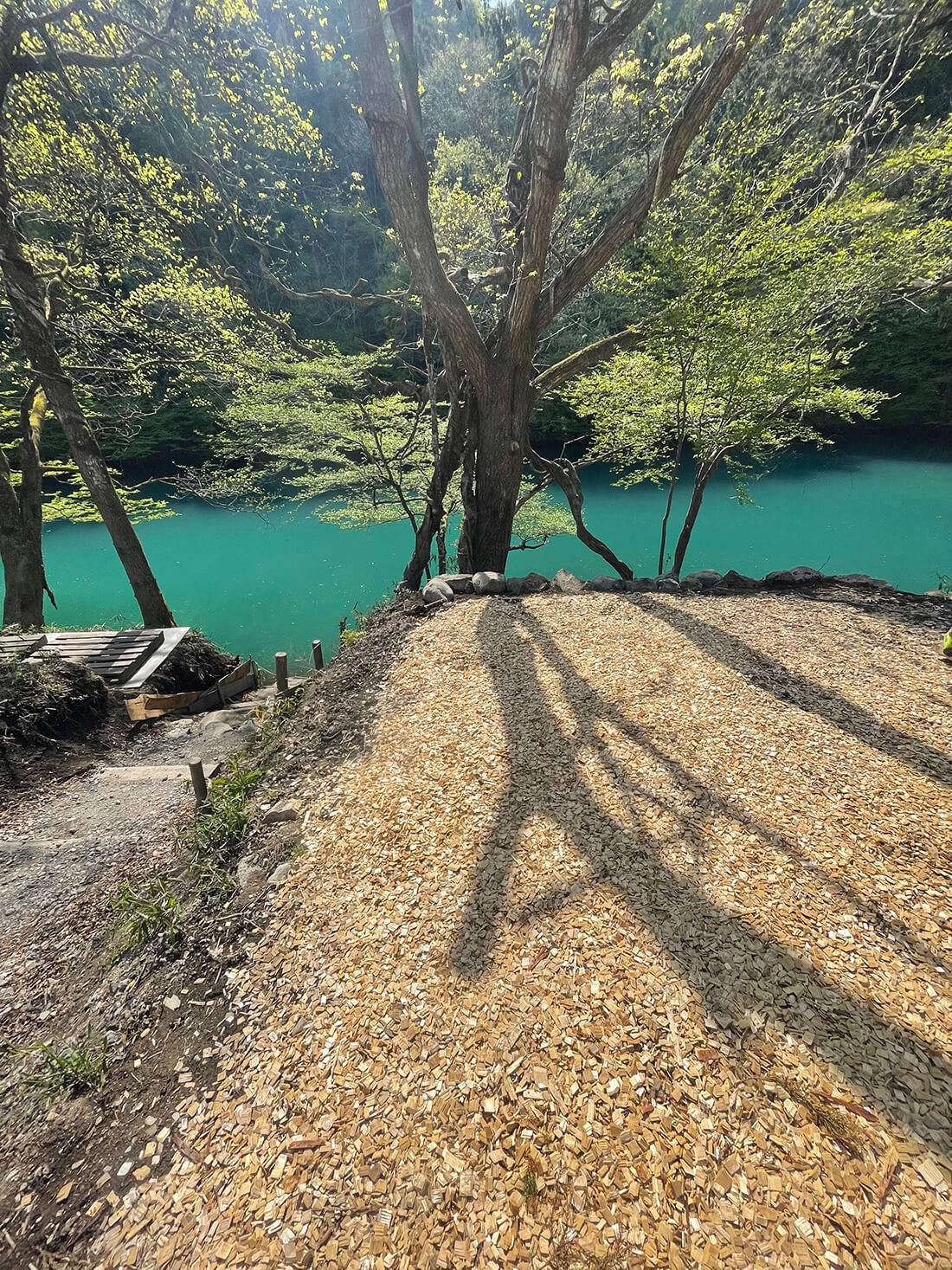 サイトと料金 | IRIE CAMP BASE